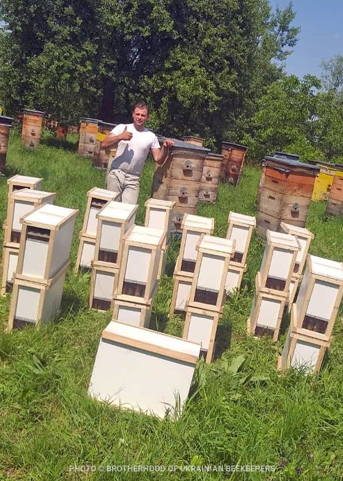 Bee the Change and Help Ukraine's Bees