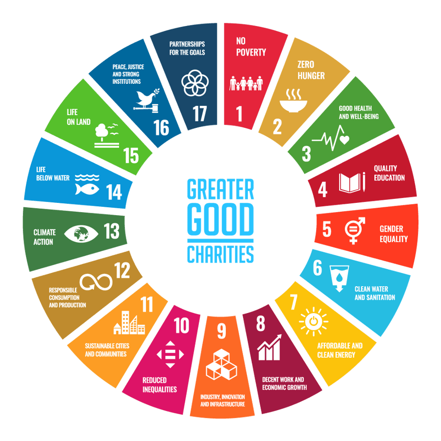 UN Sustainability Development Goals | Greater Good Charities