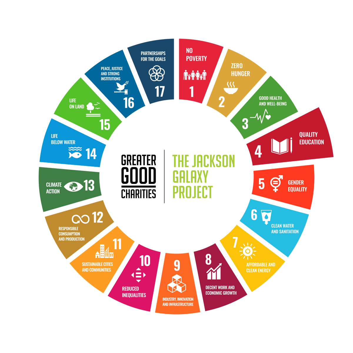 The Jackson Galaxy Project