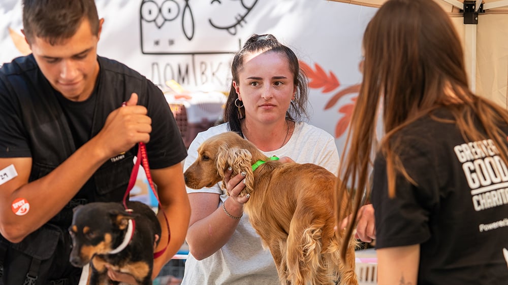 How Community Spay and Neuter Programs Help End Pet Overpopulation