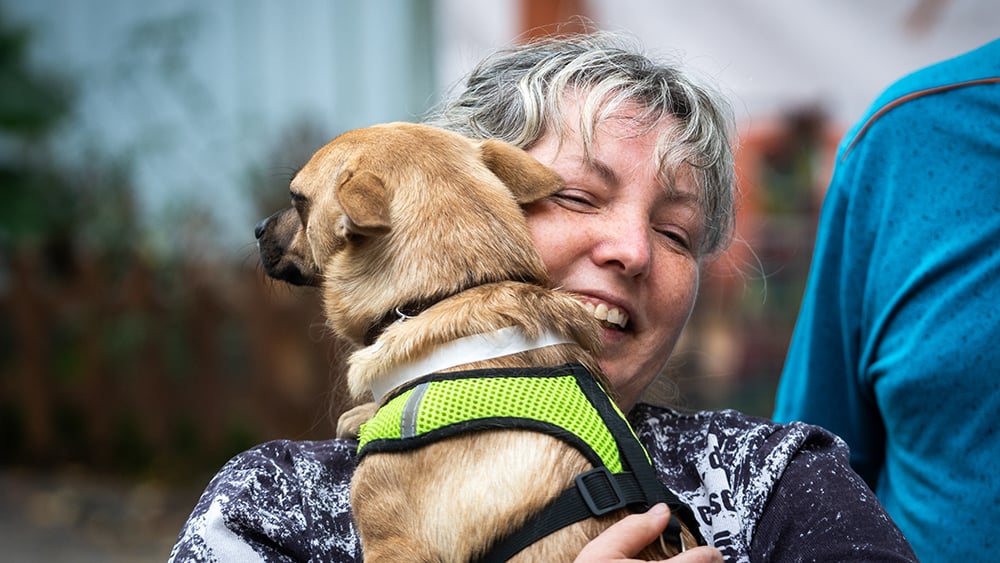 How Community Spay and Neuter Programs Help End Pet Overpopulation