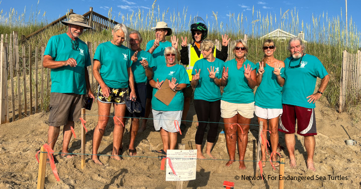 One in a Thousand: The Race to Save Sea Turtles