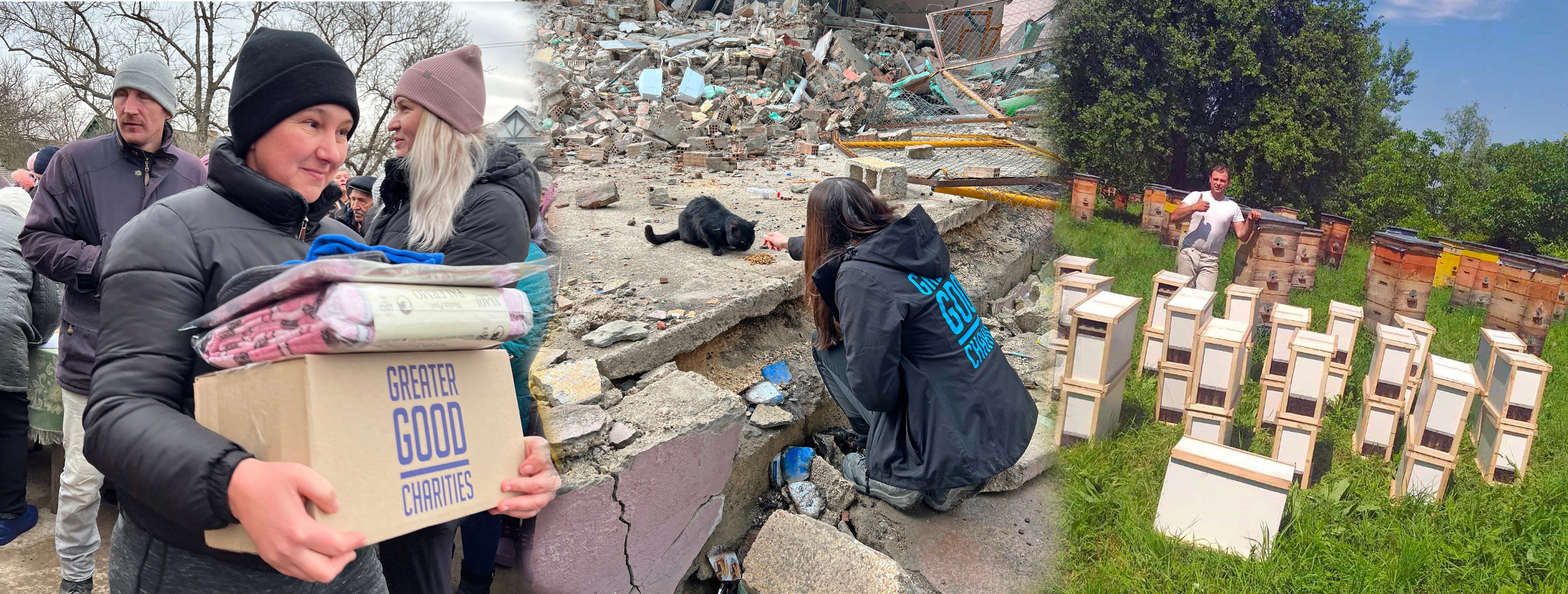 Humanitarian Aid: The Worldwide Impact of Greater Good Charities