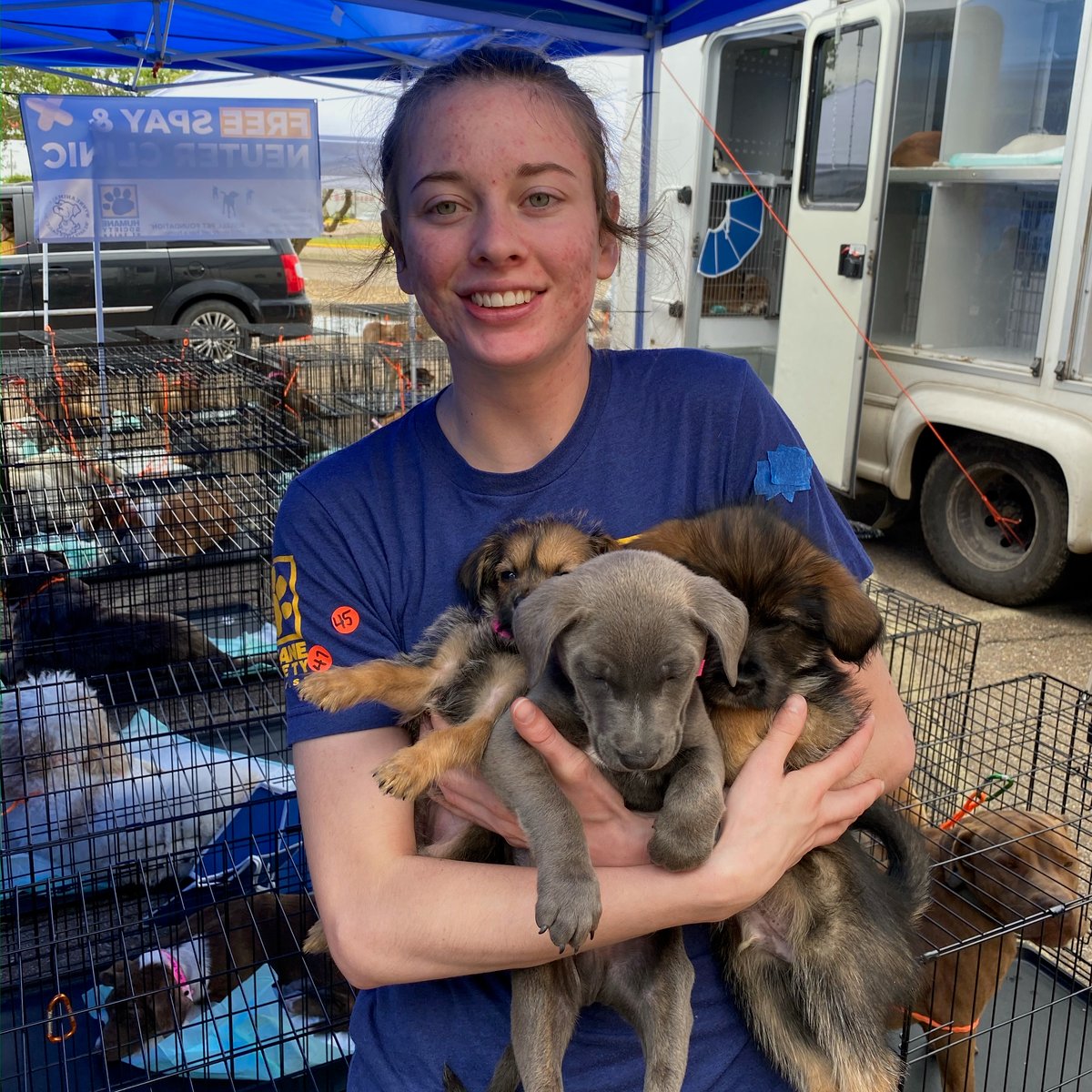 4 Reasons Spay and Neuter Programs Are Vital for Every Community
