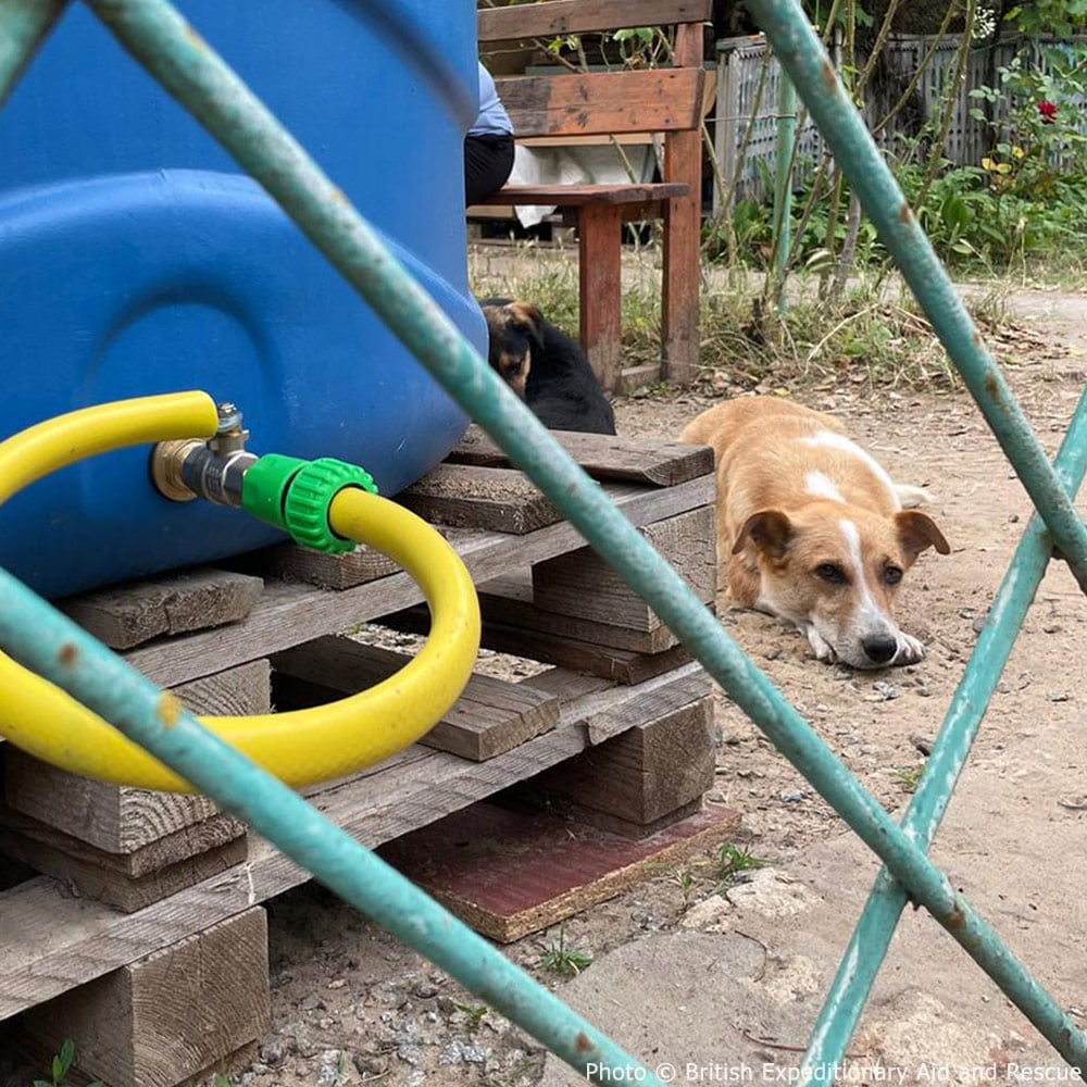 Bringing Clean, Sustainable Drinking Water to Ukraine