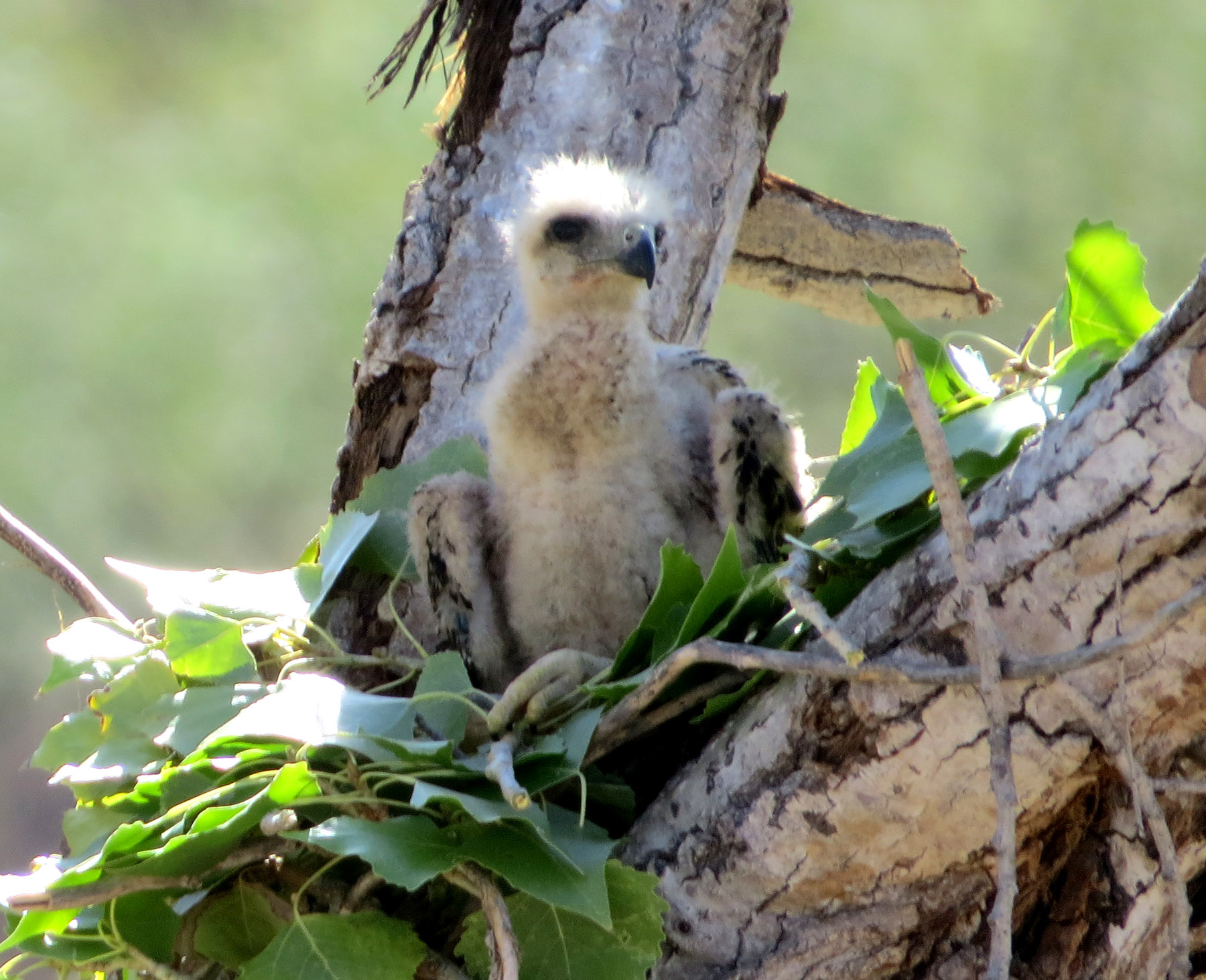 Global Discovery Expeditions Gallery