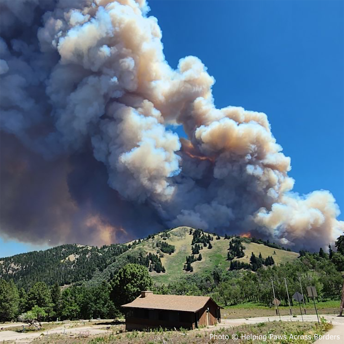 Disaster Relief: Give Hope Through Hard Times