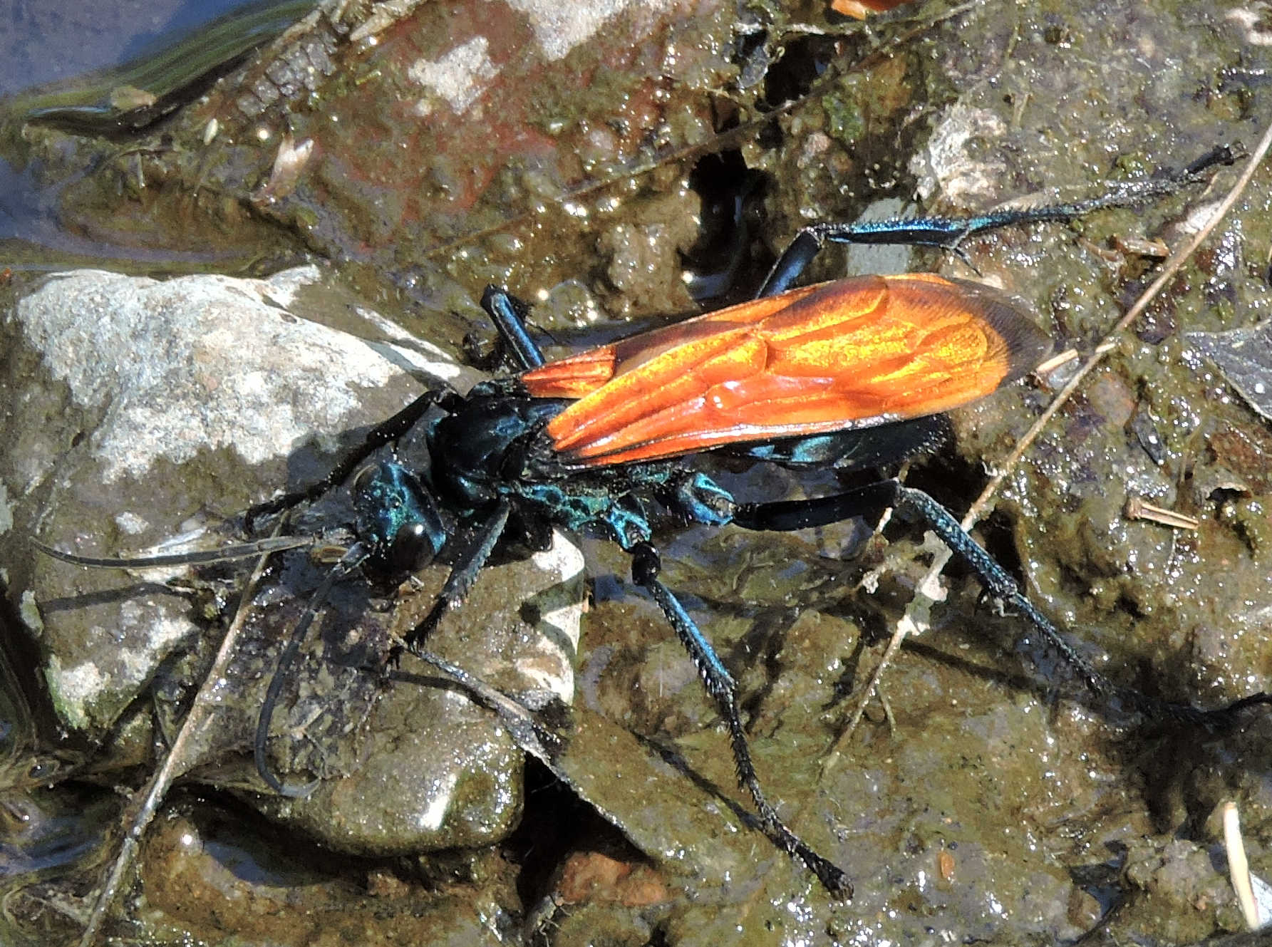 Global Discovery Expeditions Gallery