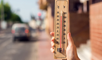 Help People and Pets Suffering from Extreme Heat | Greater Good Charities