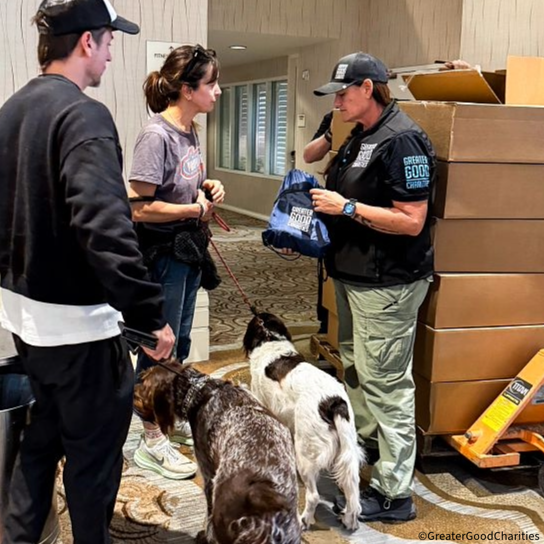 Disaster Relief: California Wildfires